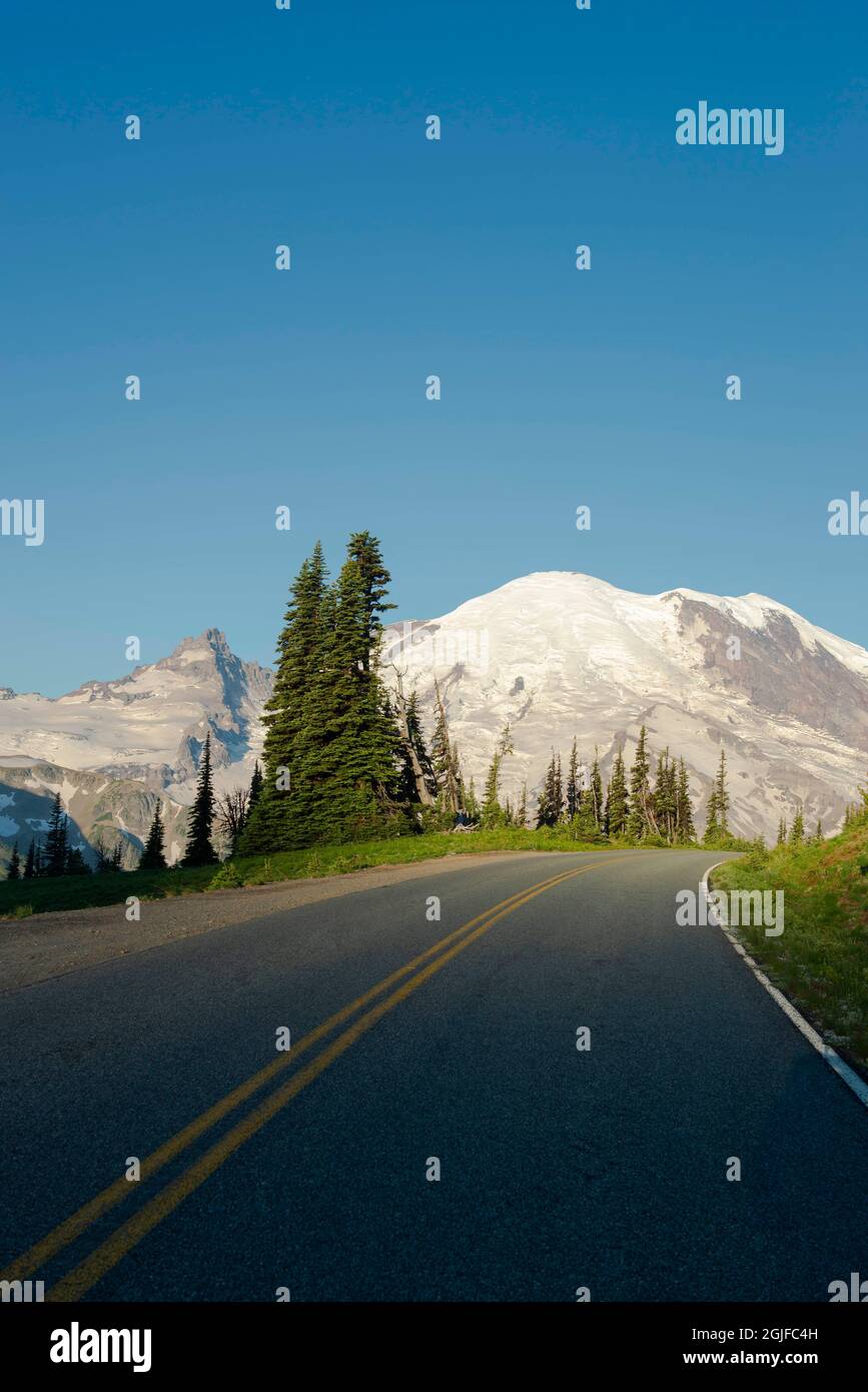 The Sunrise road leading towards Sunrise and Mt. Rainier at Rainier ...