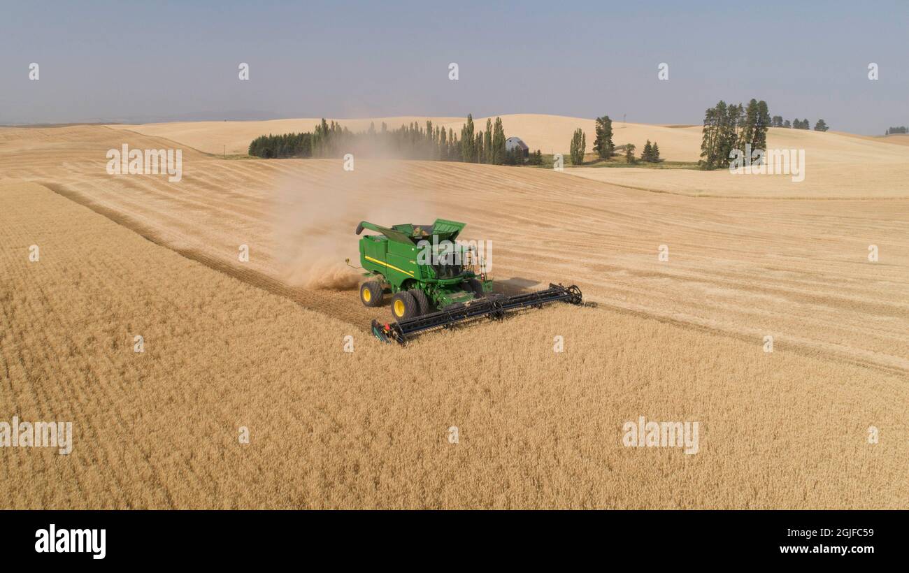 Combine cutting wheat hi-res stock photography and images - Alamy