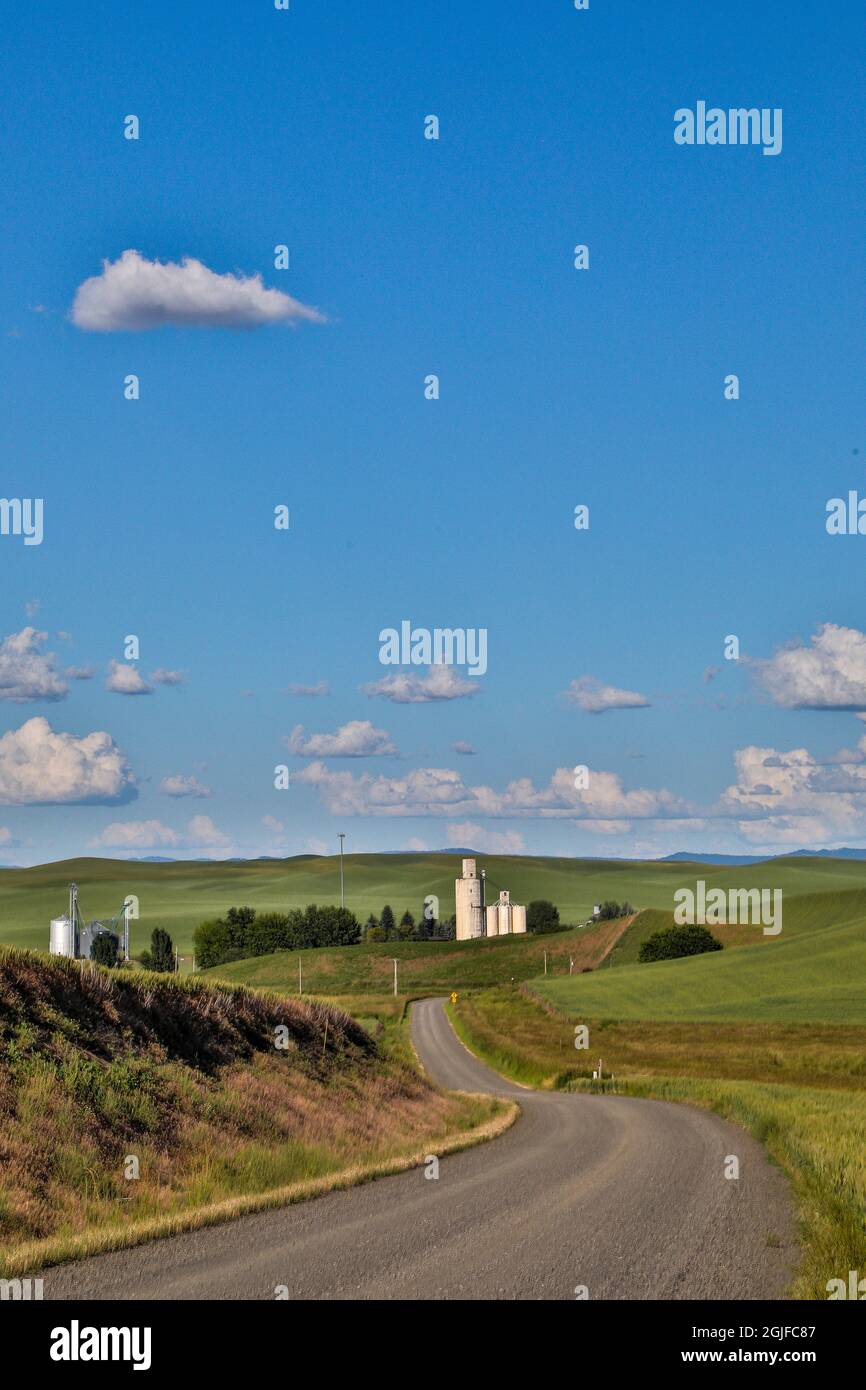 USA, Washington State, Palouse. Landscape of the Palouse Stock Photo ...