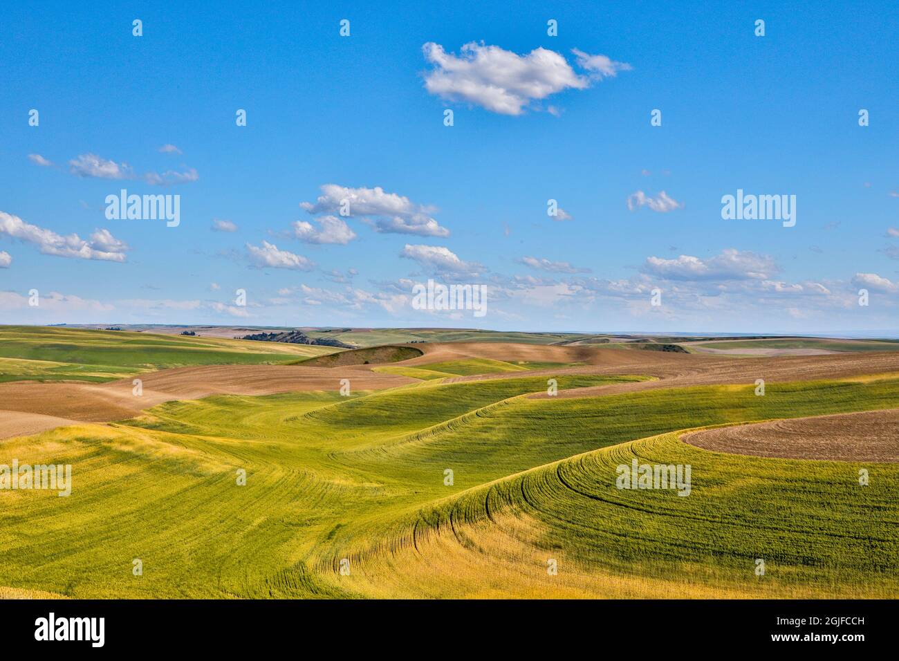 USA, Washington State, Palouse. Rolling hills in the town of Endicott ...
