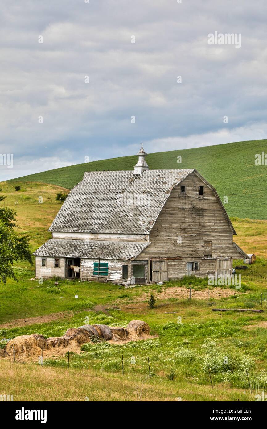 USA, Washington State, Palouse. Old barn in Colfax Stock Photo - Alamy
