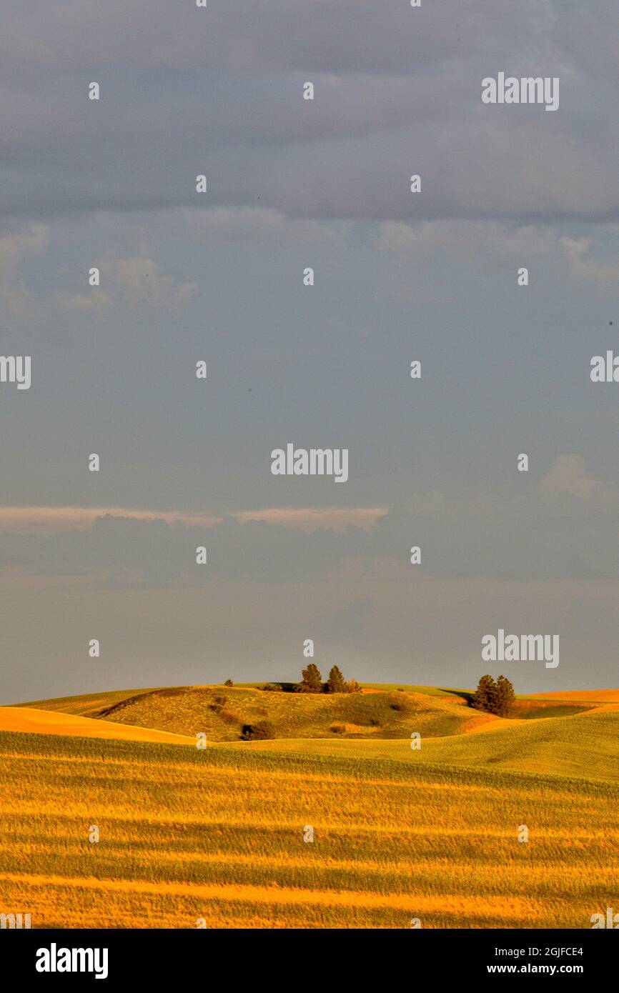 USA, Washington State, Palouse. Sunset in the Palouse Stock Photo - Alamy