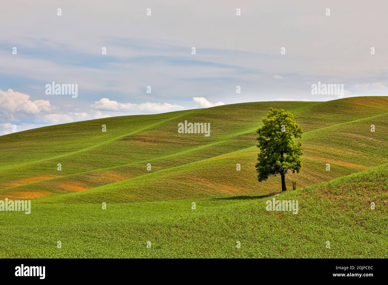 Colton Brown High Resolution Stock Photography and Images - Alamy