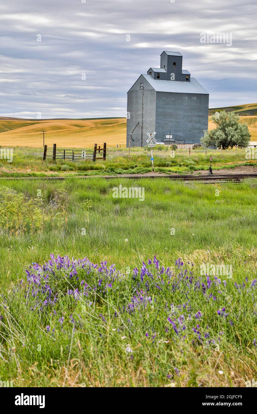 USA, Washington State, Palouse. Old buildings in Endicott Stock Photo ...