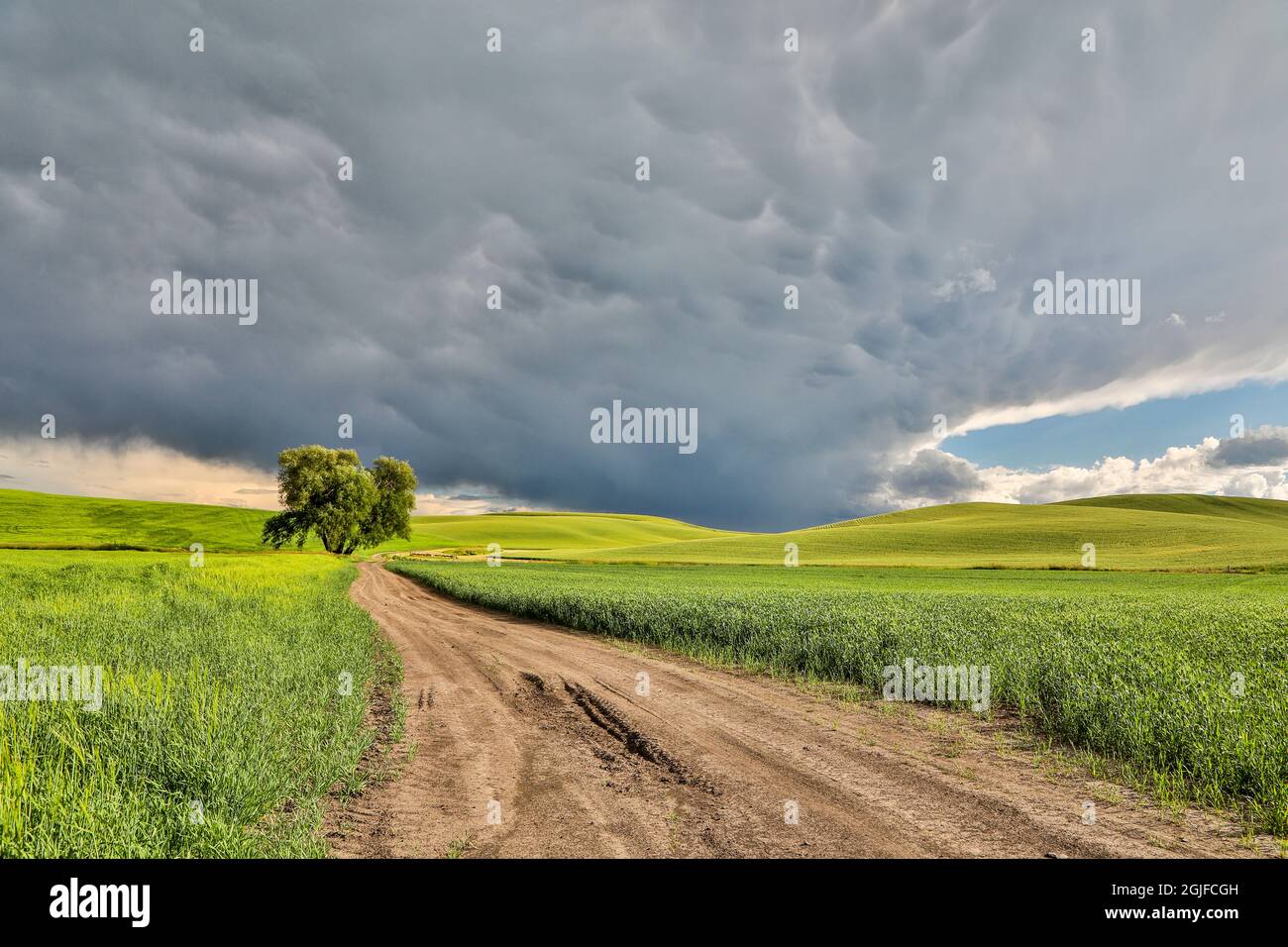 USA, Washington State, Palouse. Storm clouds advancing over Pullman Stock Photo - Alamy