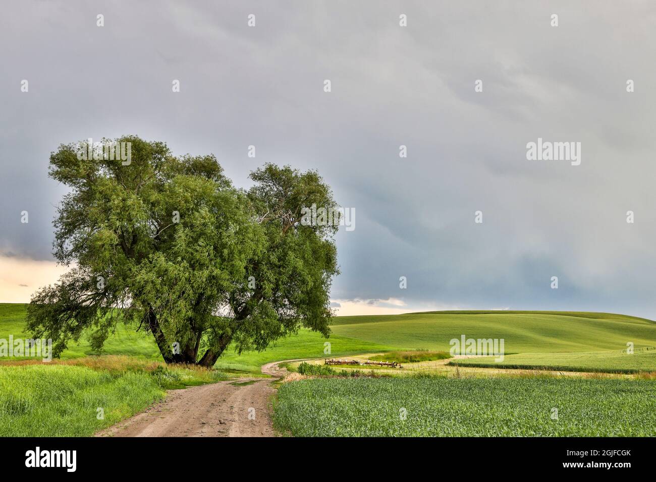 USA, Washington State, Palouse. Storm clouds advancing over Pullman ...
