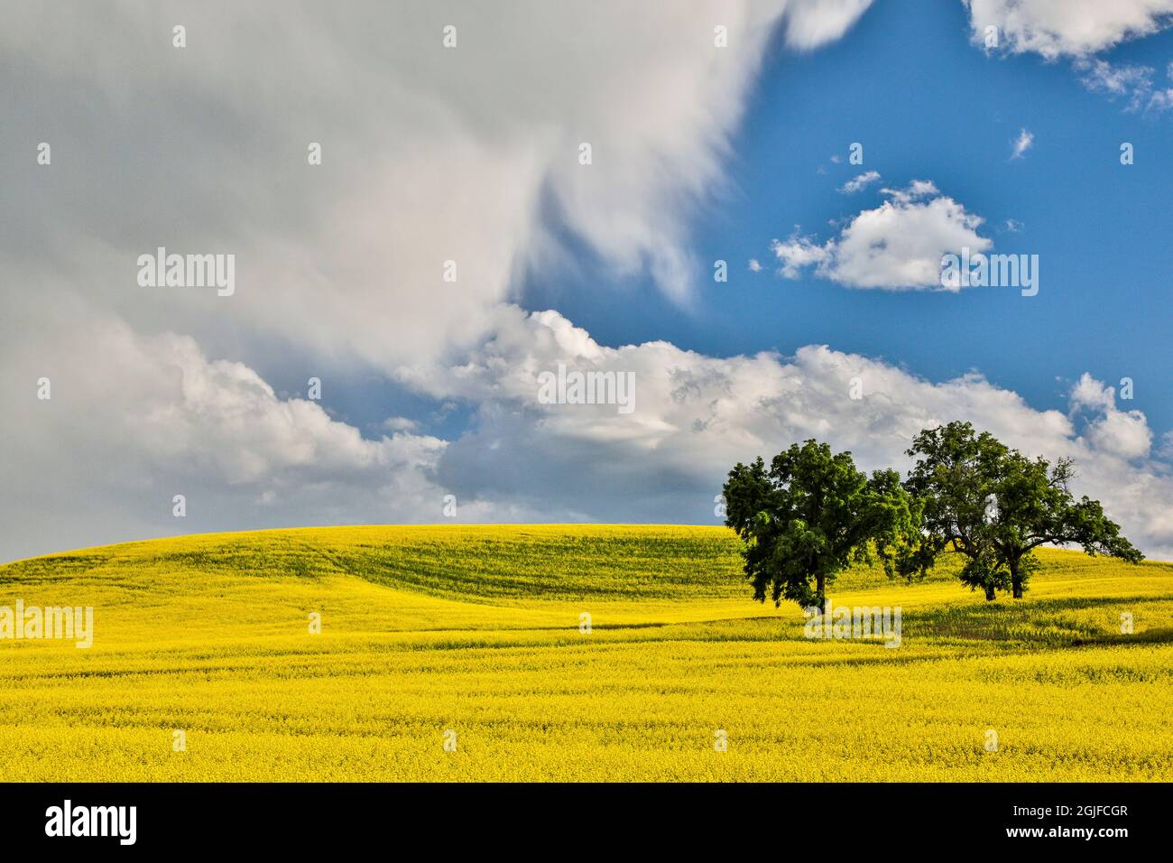 USA, Washington State, Palouse. Storm clouds advancing over Pullman ...