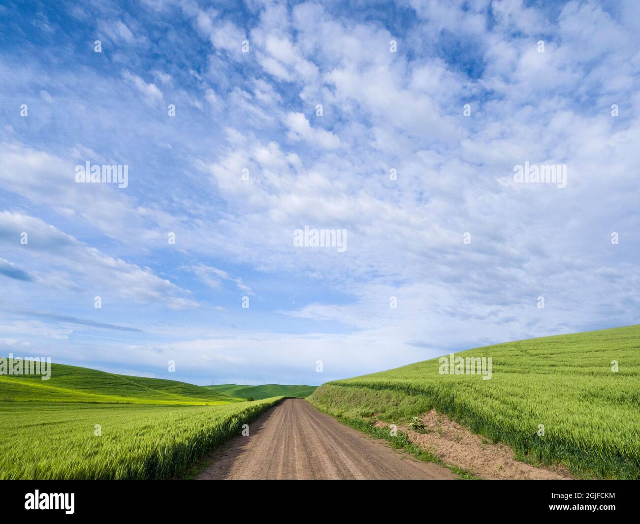 Rural road winding hi-res stock photography and images - Alamy