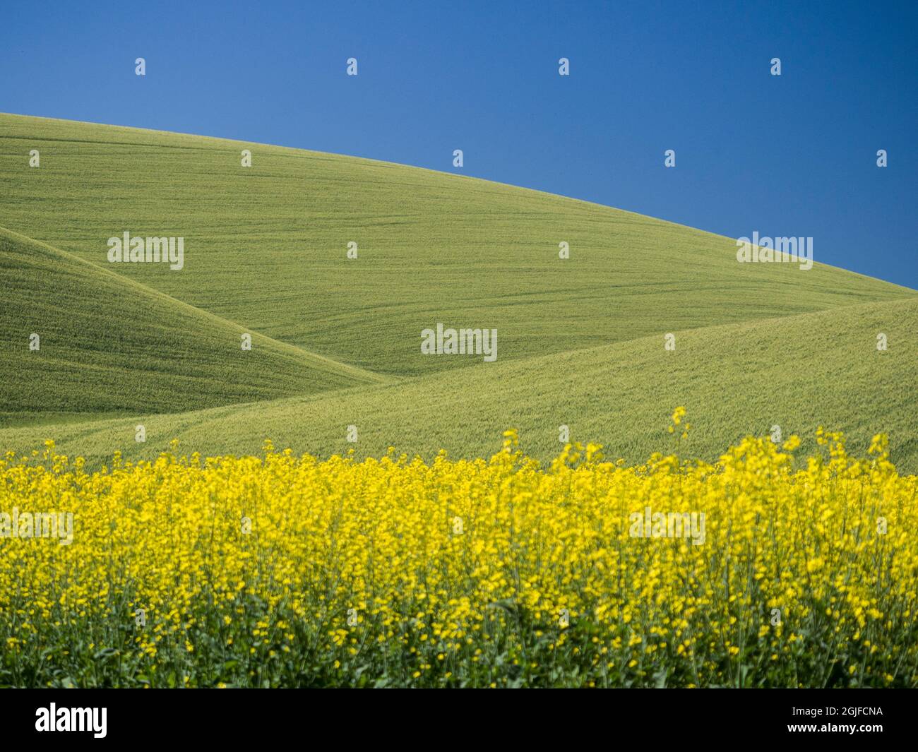 Julie fields hi-res stock photography and images - Alamy