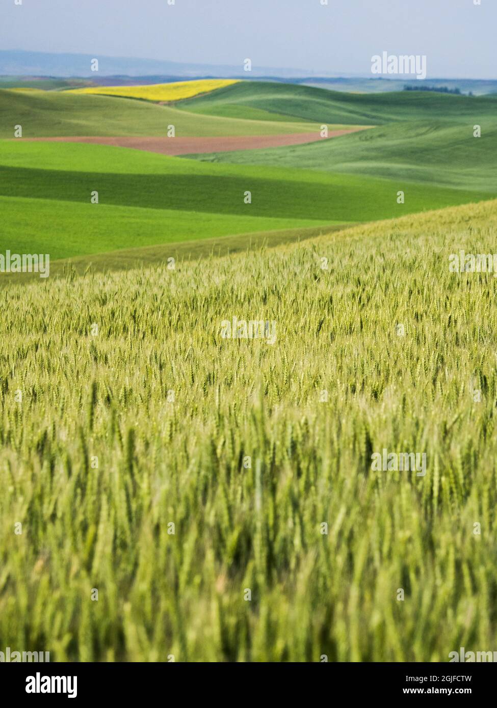 Layers of different colors in the Palouse region of Washington State ...