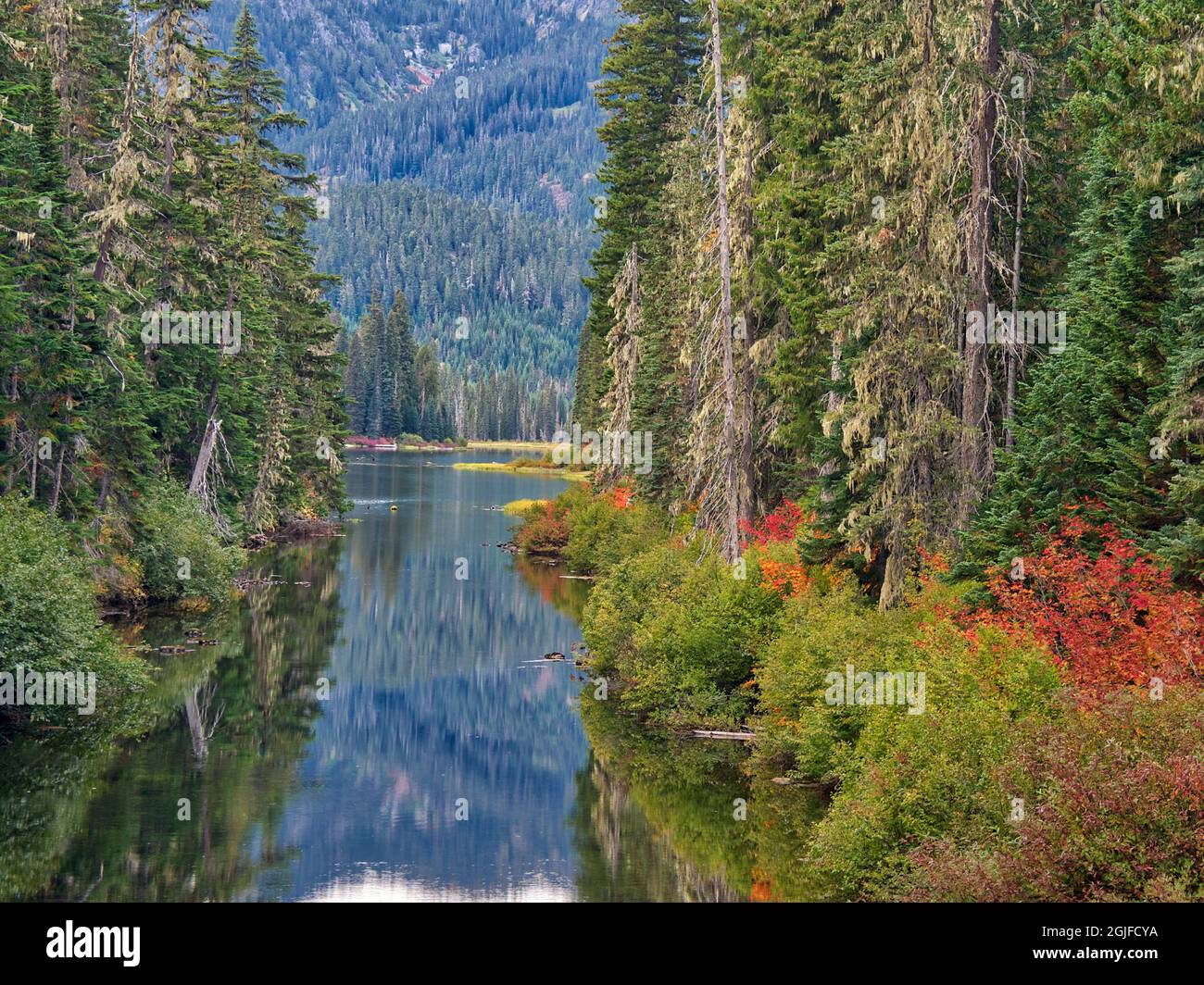 Washington cooper cooper hi-res stock photography and images - Alamy