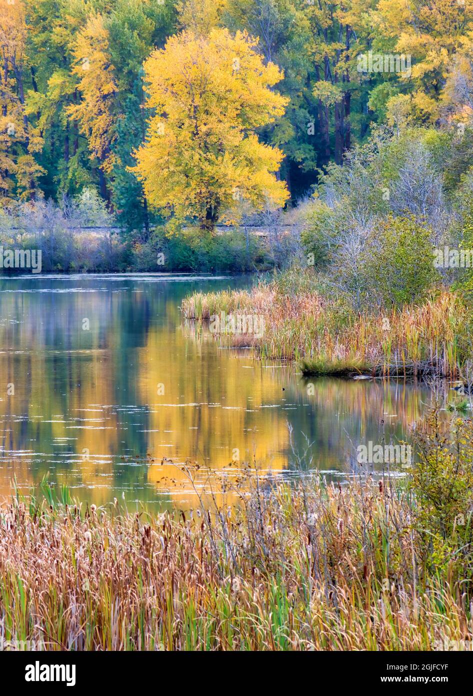 Yakima autumn in yakima river hi-res stock photography and images - Alamy