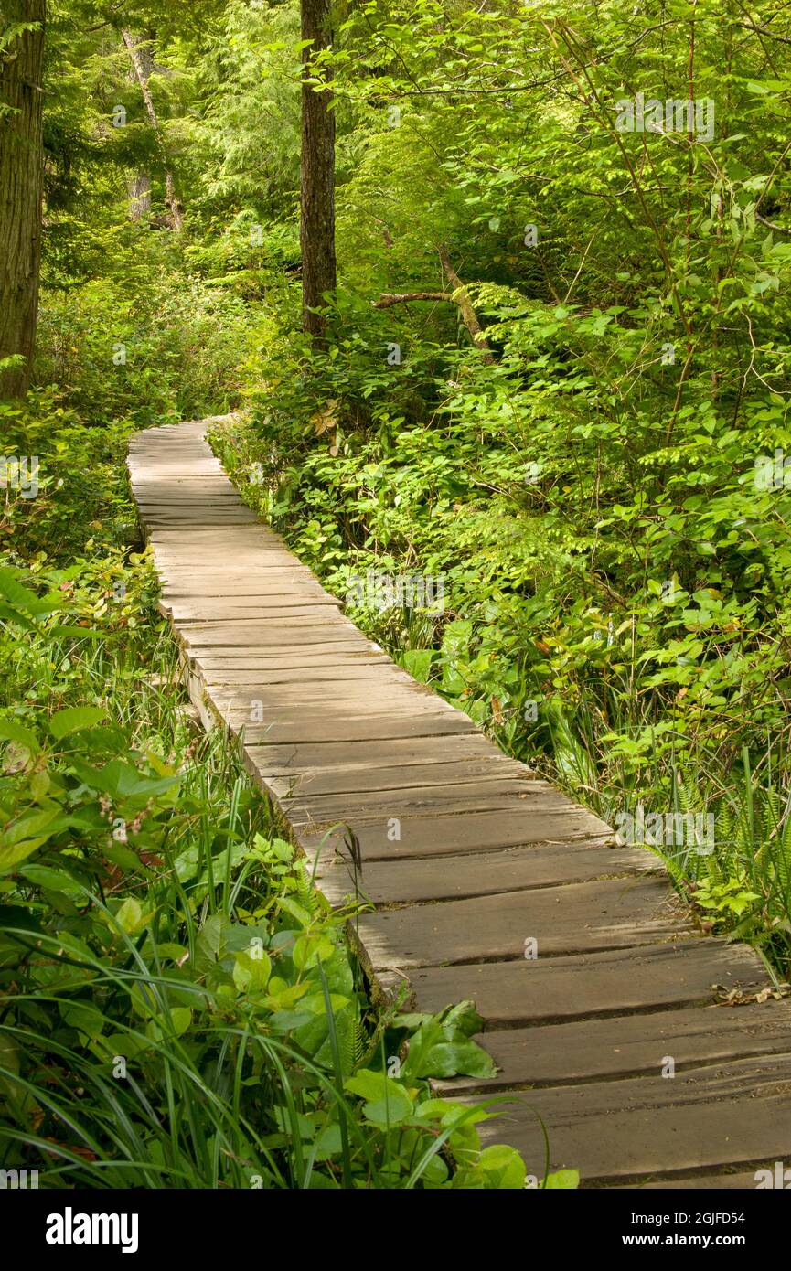 Makah Indian Reservation near Neah Bay, Washington, USA. Wooden pathway ...