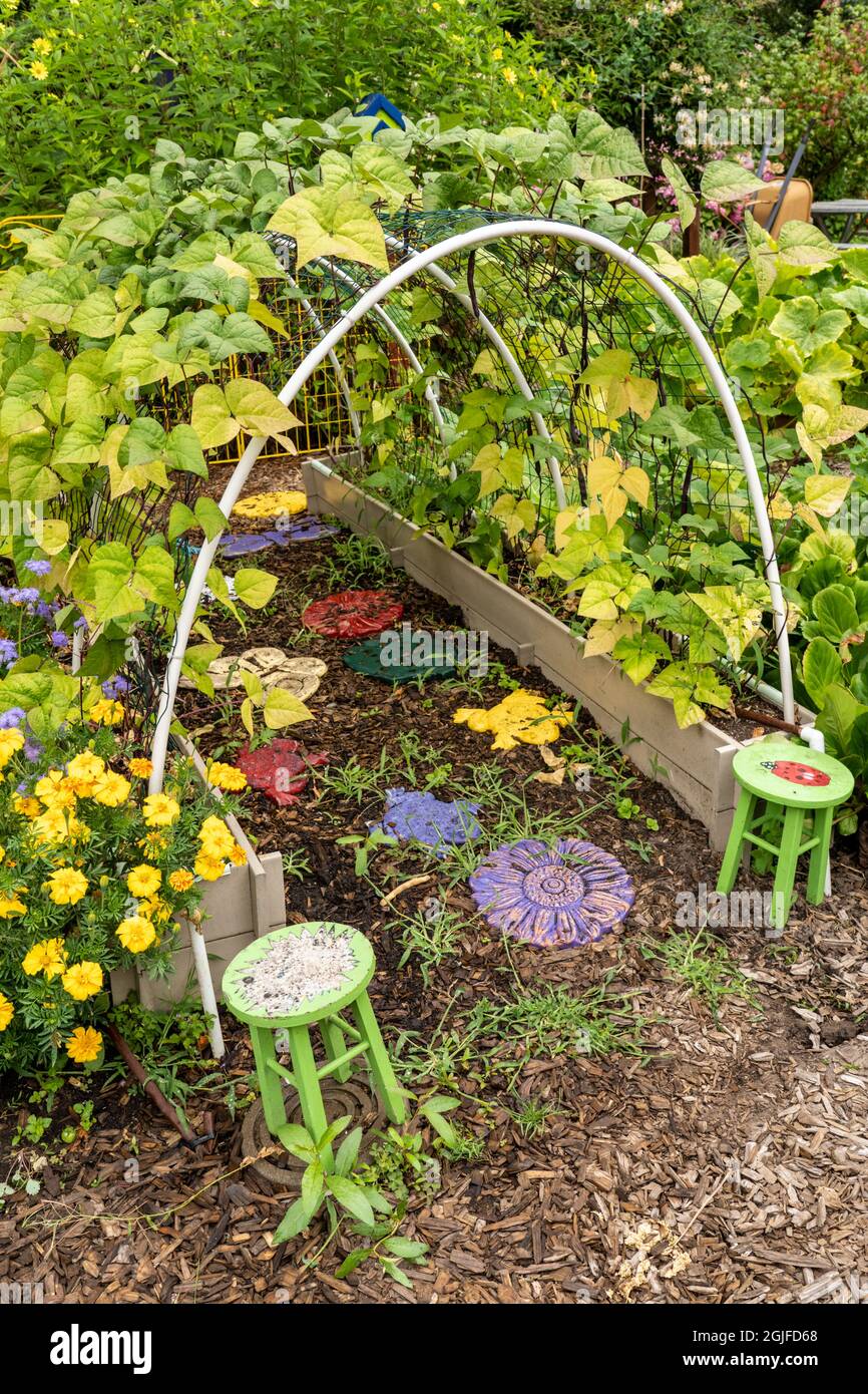 Bean trellis hi-res stock photography and images - Alamy