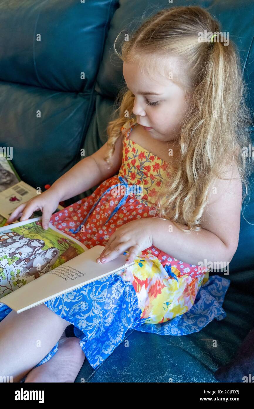 3 Year Old Girl Reading Books To Herself MR Stock Photo Alamy 3-year-old-girl-reading-books-to-herself-mr-stock-photo-alamy