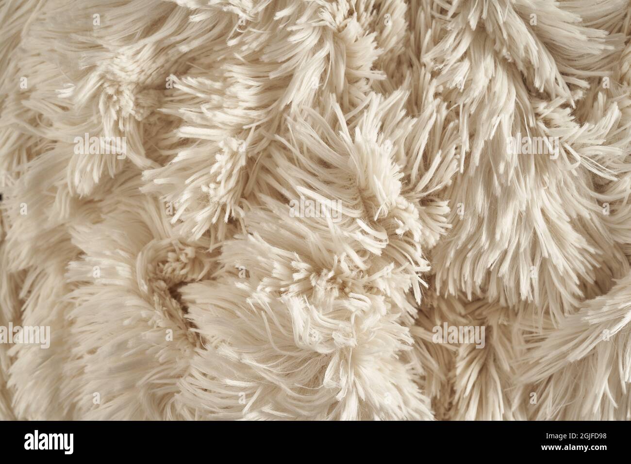 Closeup of white lamb hair like fur for background wallpaper Stock ...