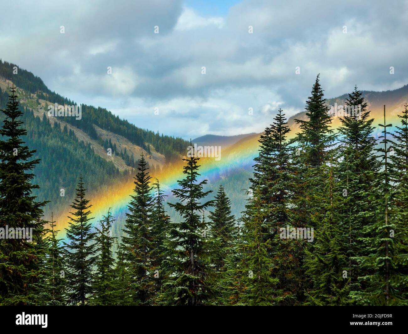 Rainbow through trees hi-res stock photography and images - Alamy