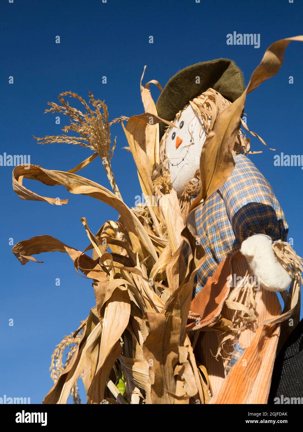 Scarecrow usa hi-res stock photography and images - Alamy