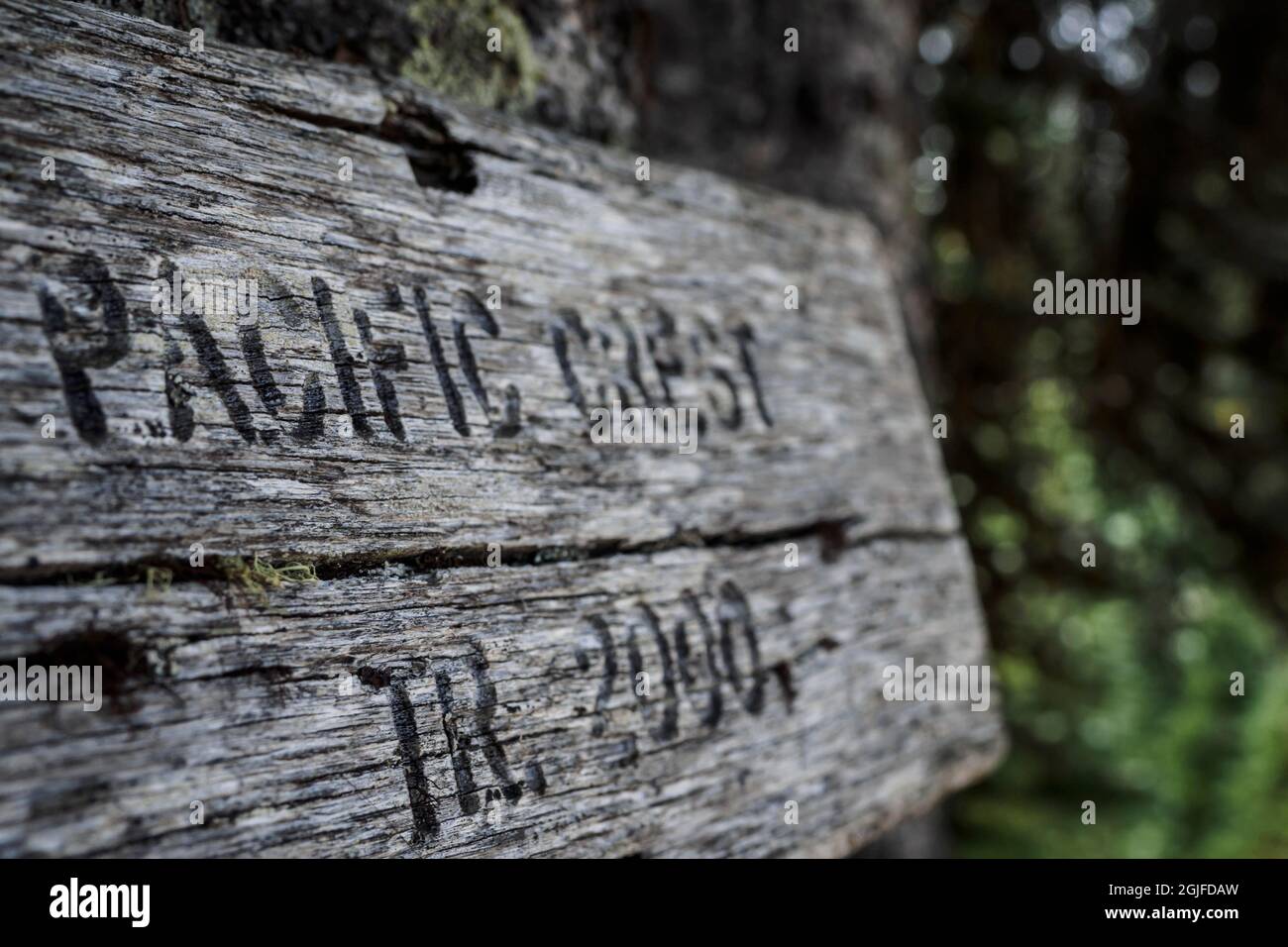 Pacific crest trail washington state hi-res stock photography and ...