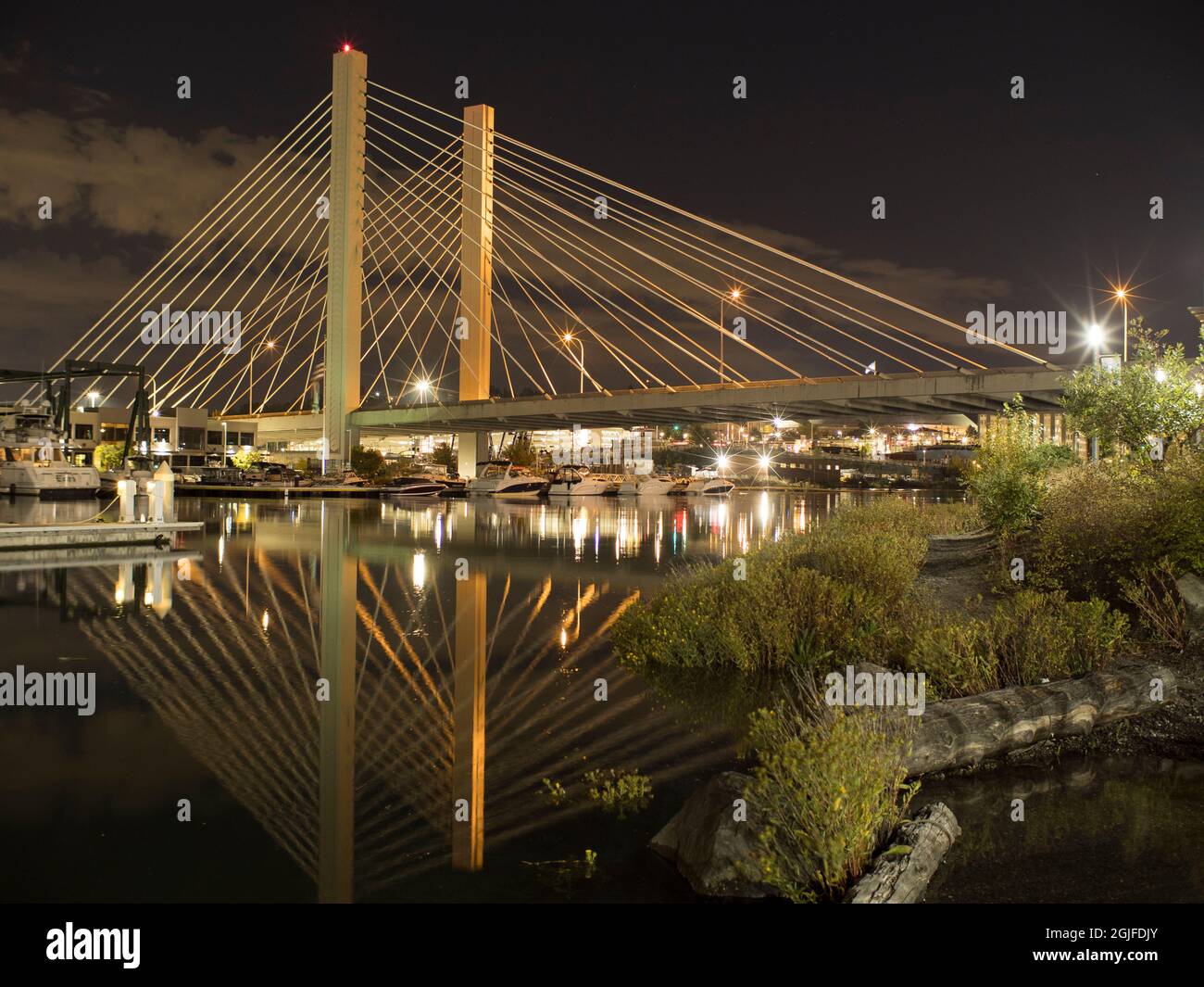 Usa, Washington State, Tacoma. Cable-stayed SR 509 bridge over Thea ...