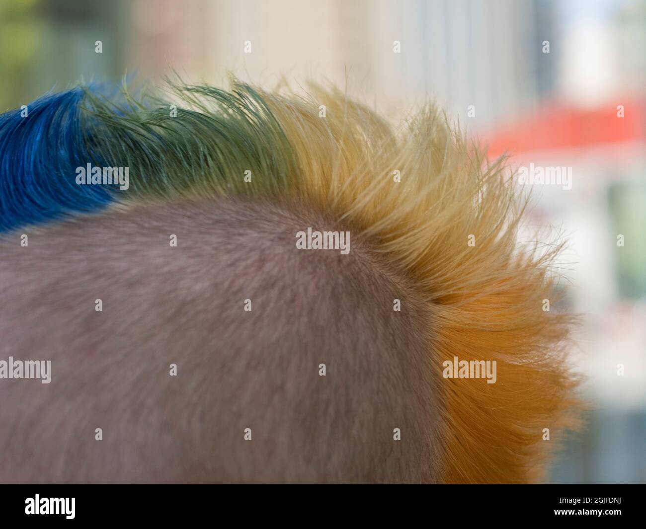 Usa, Washington State, Seattle, rainbow mohawk at Seattle Pride Parade ...
