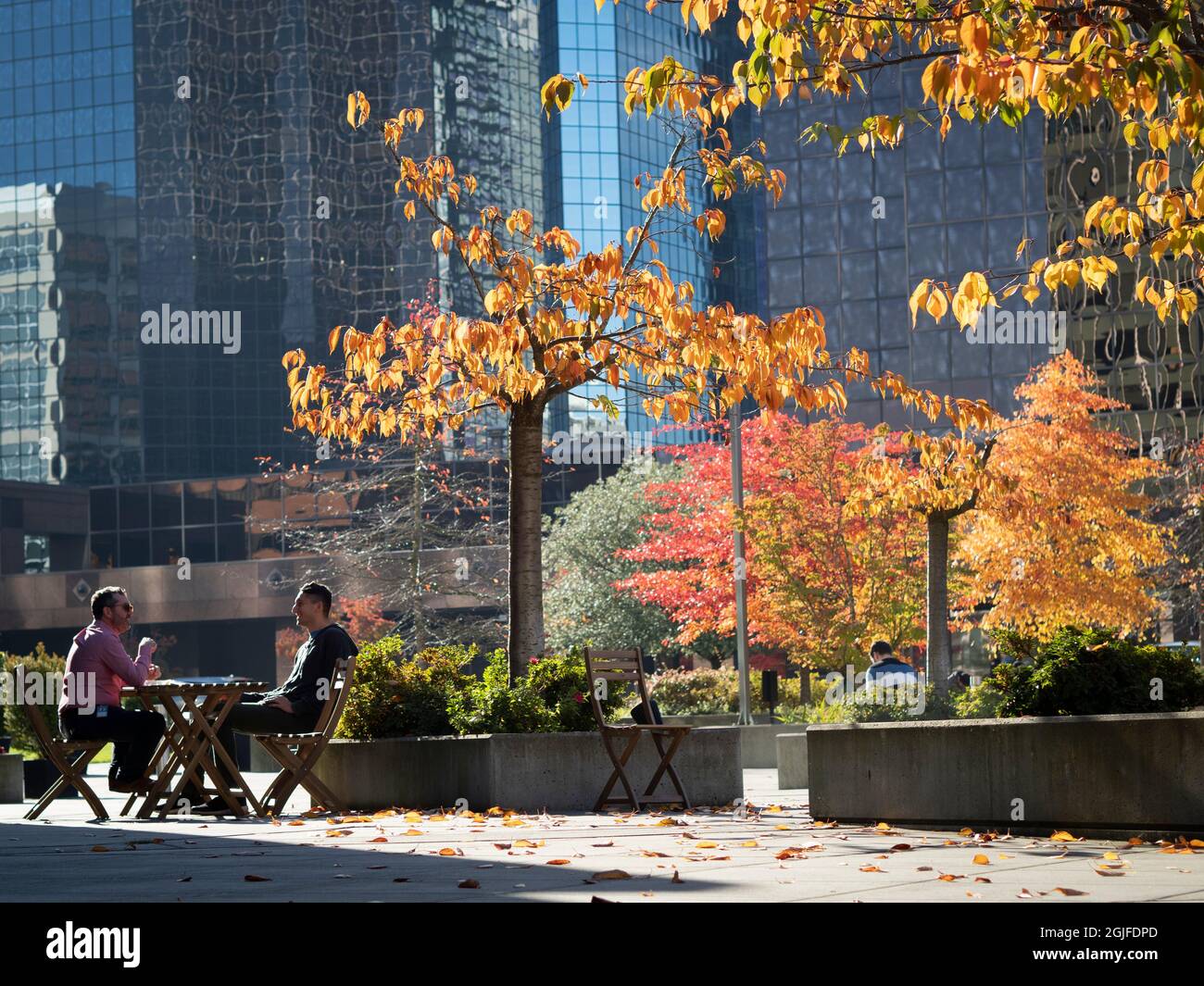 Usa, Washington State, Bellevue. Two men sitting and talking in a ...