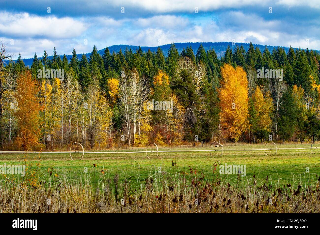 Trout lake farm washington hi-res stock photography and images - Alamy