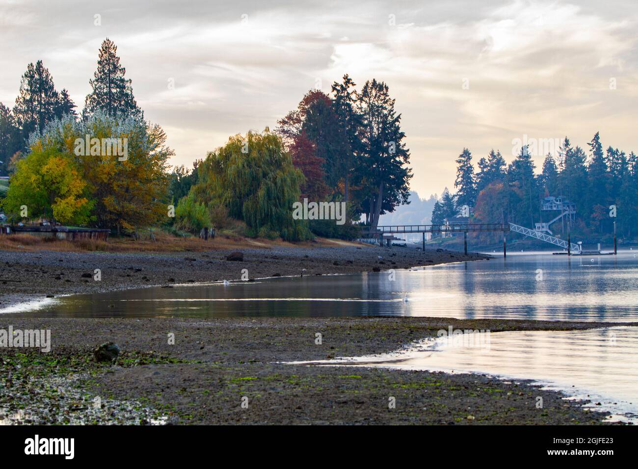 Washington state seagull hi-res stock photography and images - Alamy