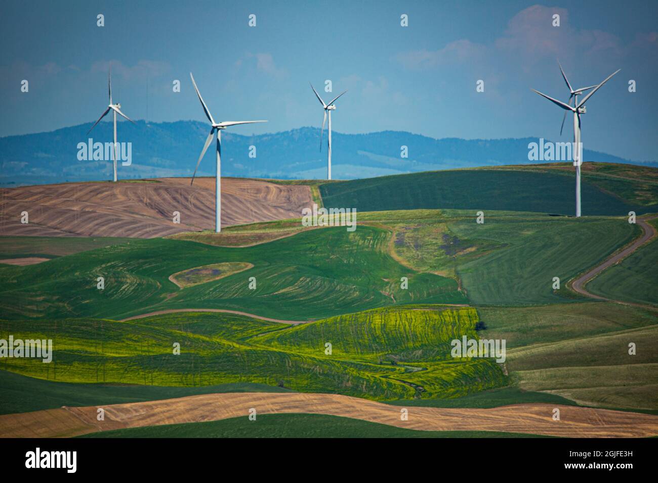 Palouse, Washington State, green hills and plains, wind turbines Stock ...