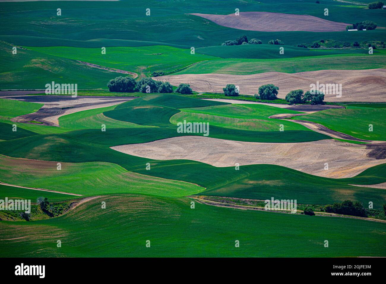 Palouse, Washington State, USA, Barns, farms, patterns, patchwork ...