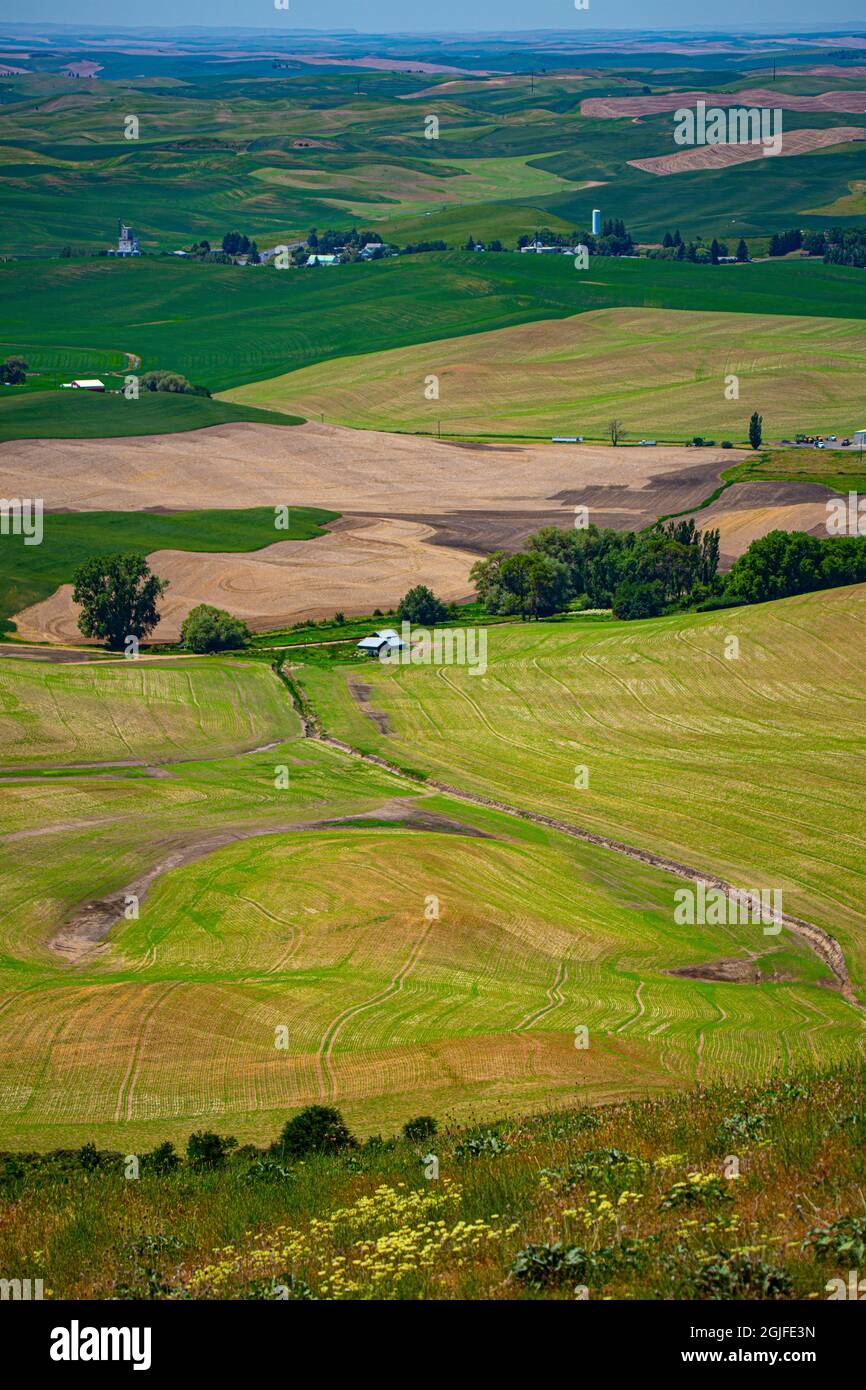 Palouse, Washington State, USA, Barns, farms, patterns, patchwork ...