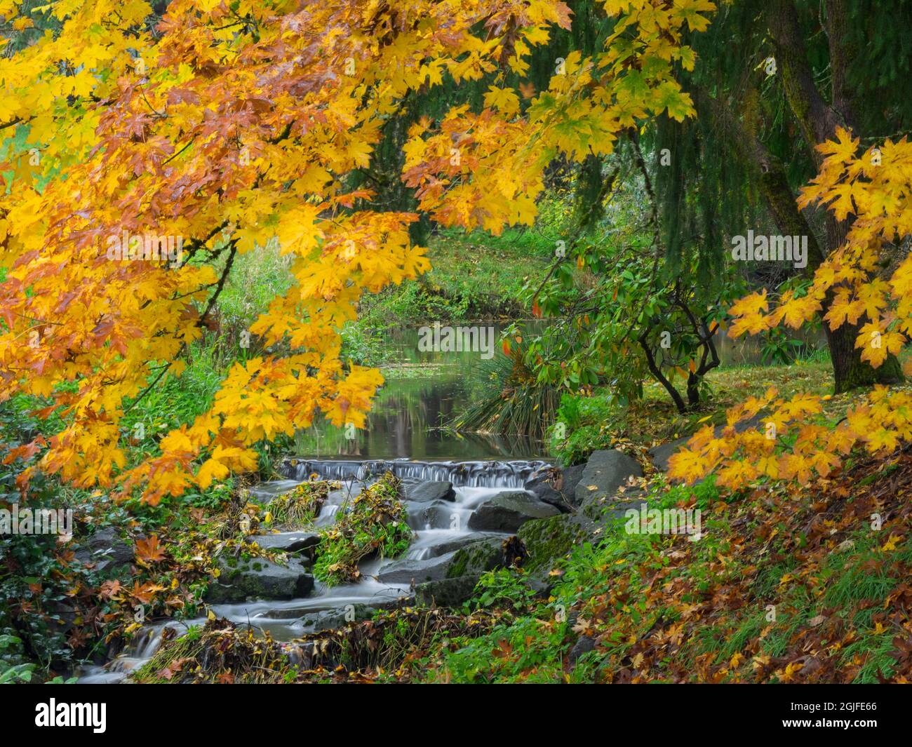 Redmond wa hi-res stock photography and images - Alamy