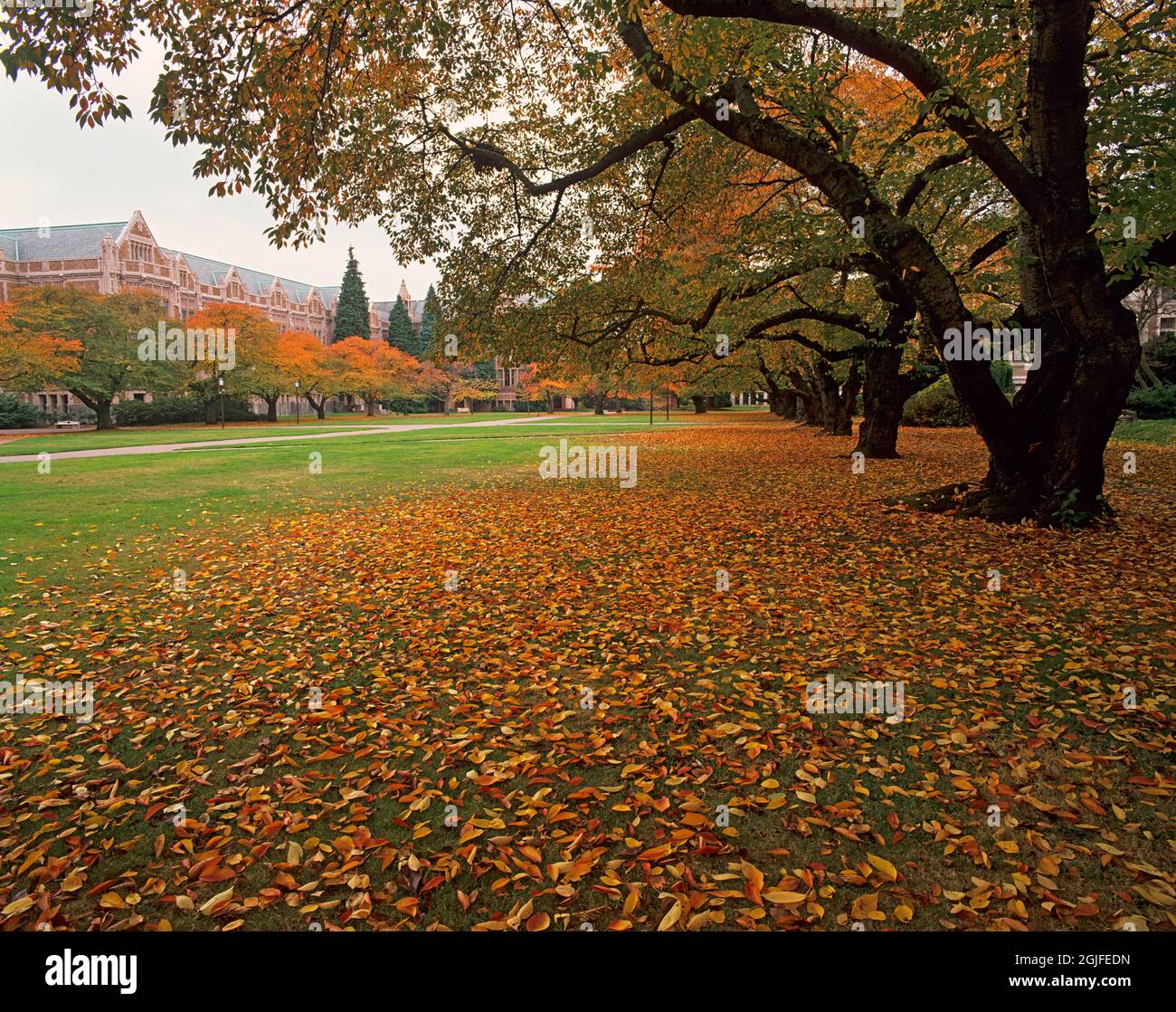 Washington State, Seattle. The Quad at the University of Washington ...