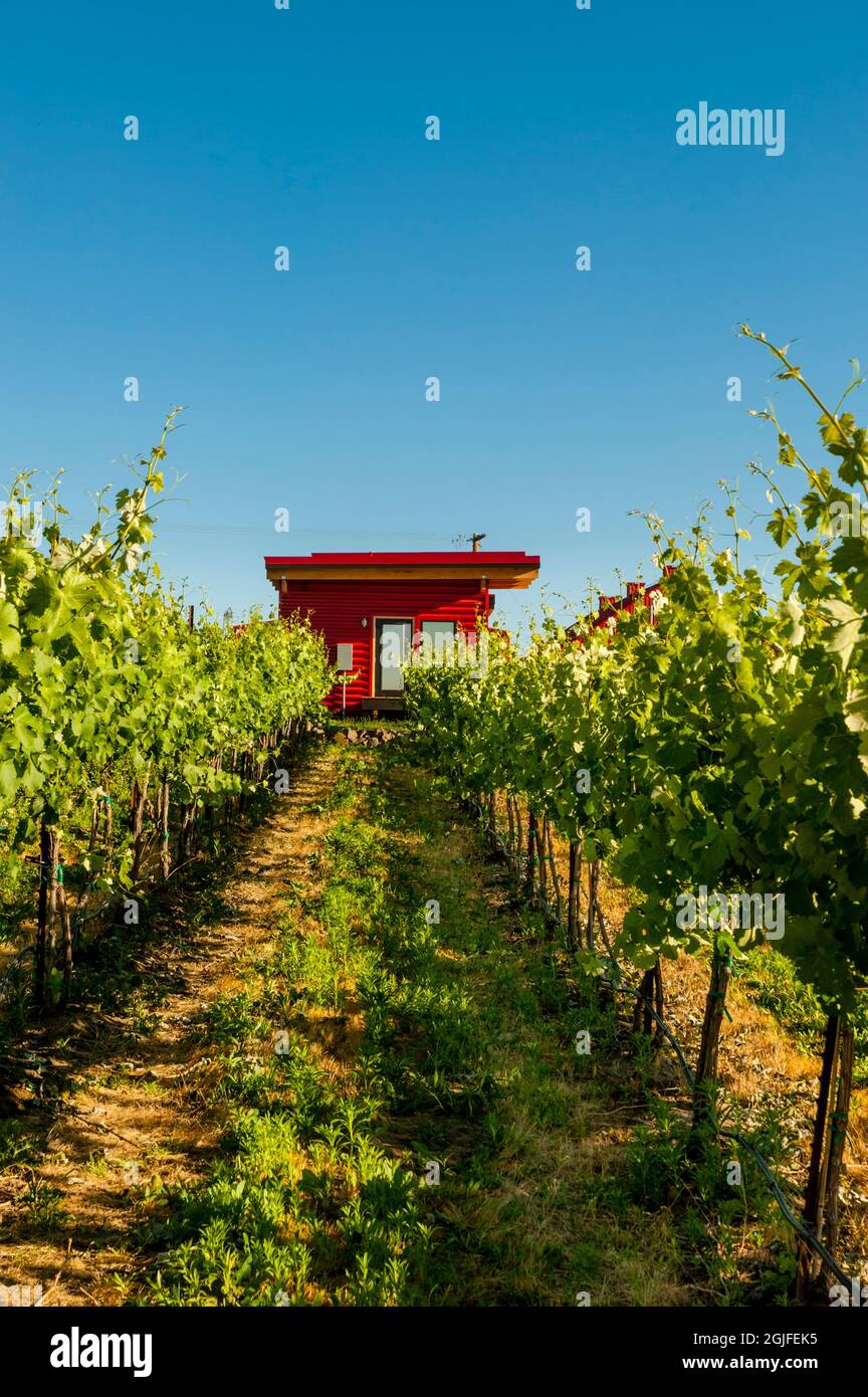 USA, Washington State, Horse Heaven Hills. Tiny House Glamping at ...