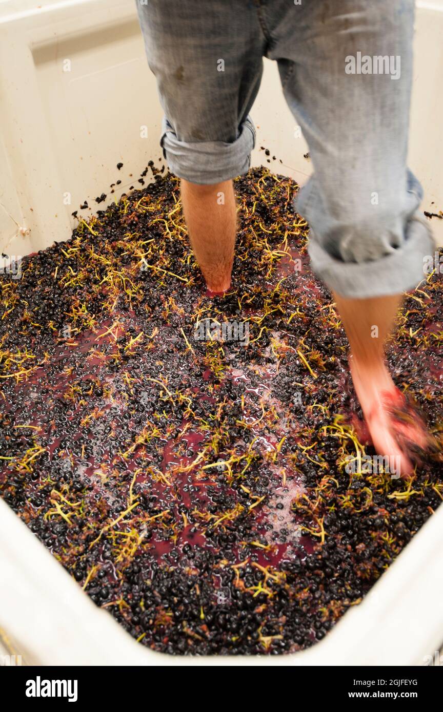 Man stomping hi-res stock photography and images - Alamy
