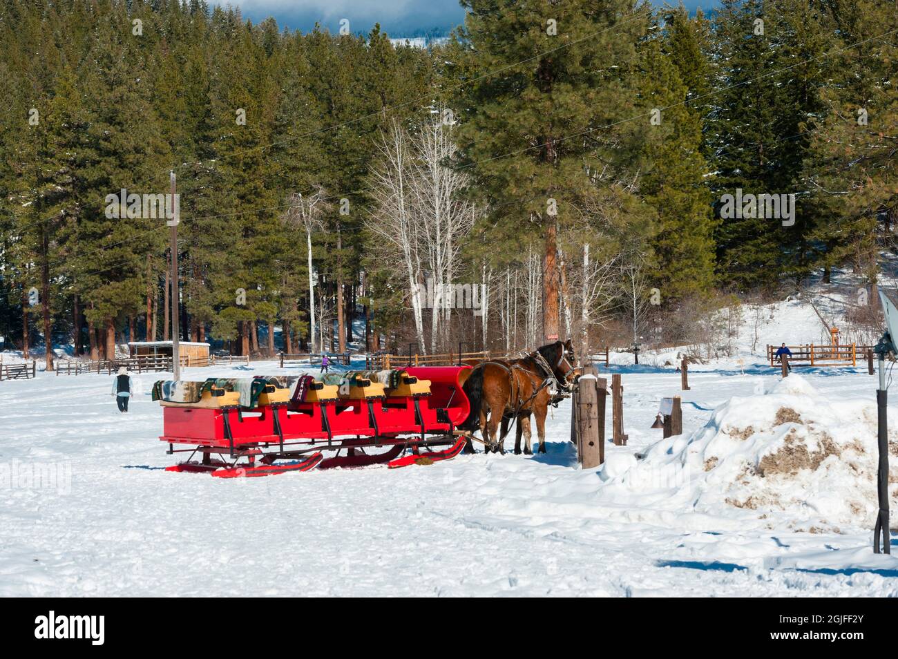 USA, Washington State, Plain. Sled and horses wait for passengers for a ...
