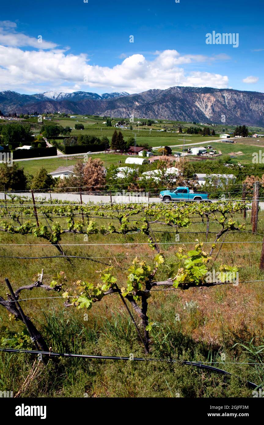 USA, Washington State, Lake Chelan. Spring weekend at Lake Chelan ...