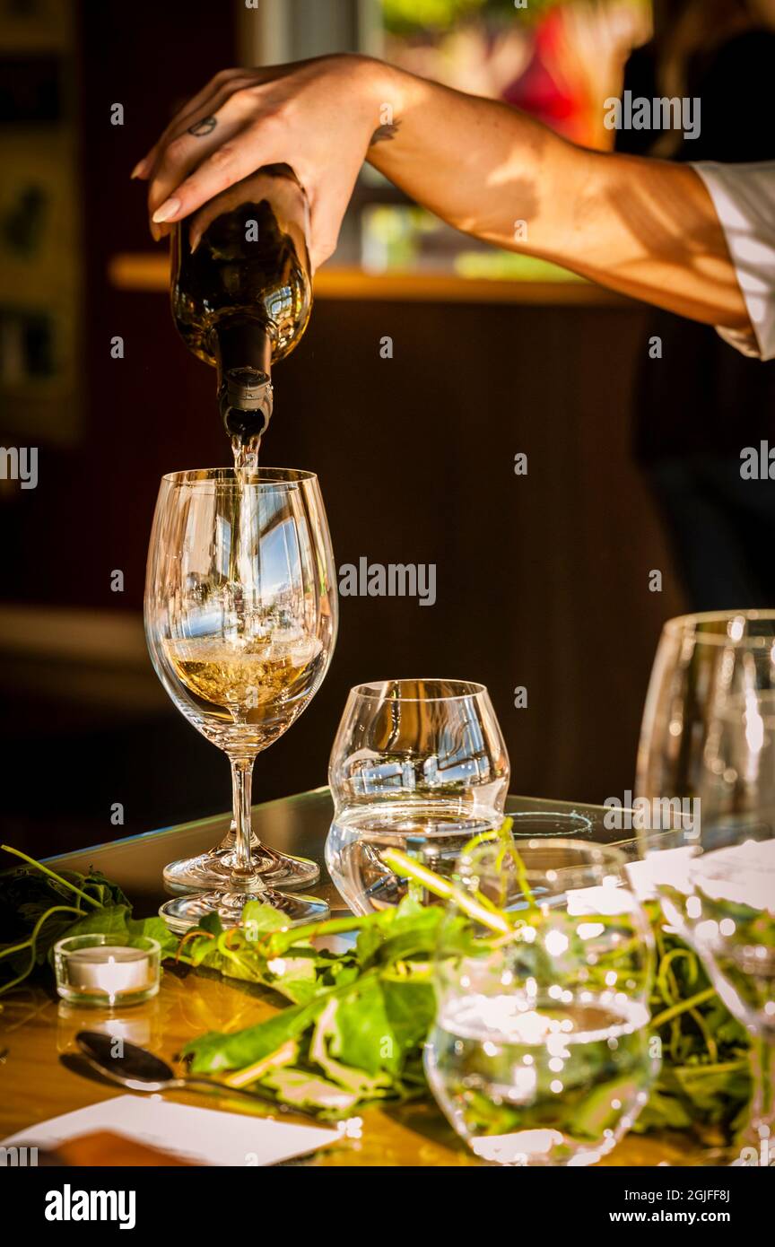 USA, Washington State, Red Mountain. Server pours white wine at a ...