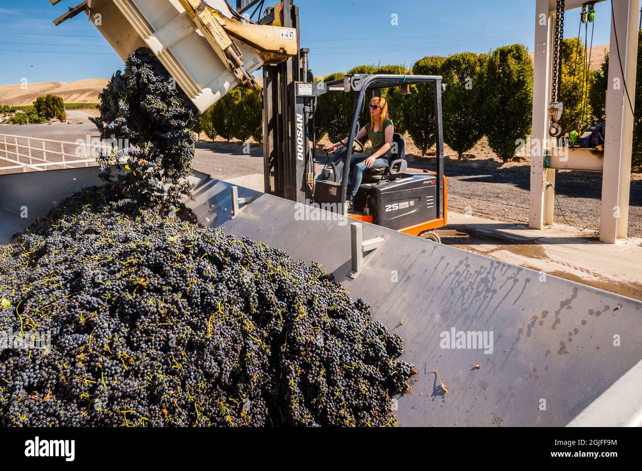 Sarah hedges goedhart hi-res stock photography and images - Alamy