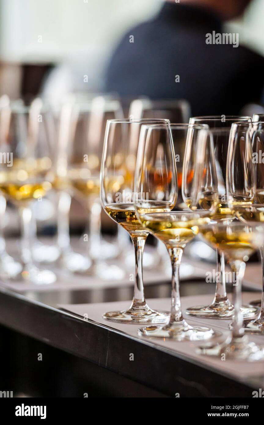 USA, Washington State, Seattle. White wine in glasses at a Seattle wine ...