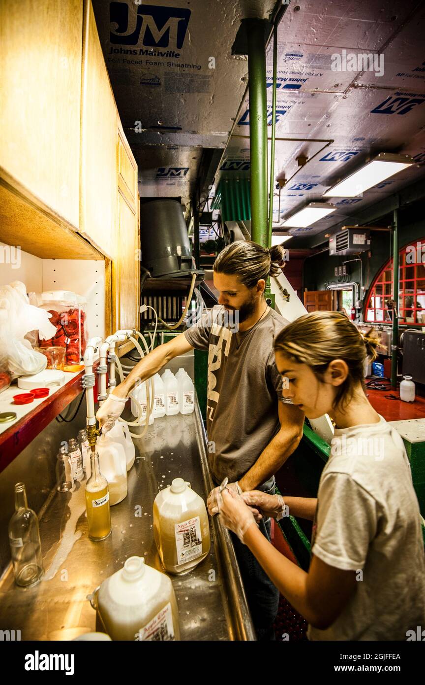 USA, Washington State, Woodinville. Apple cider production at Off the ...