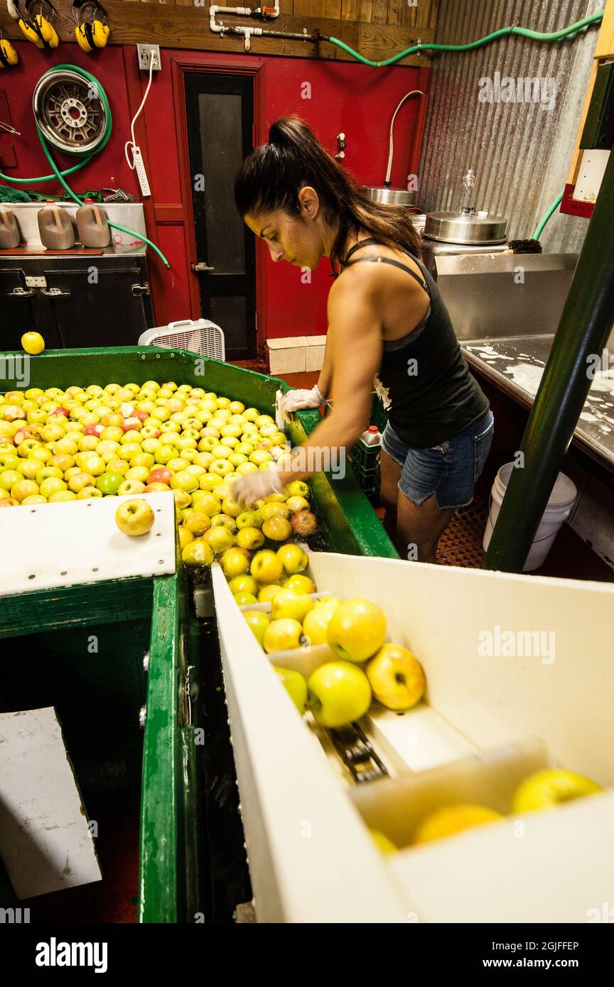 Cider production hi-res stock photography and images - Alamy