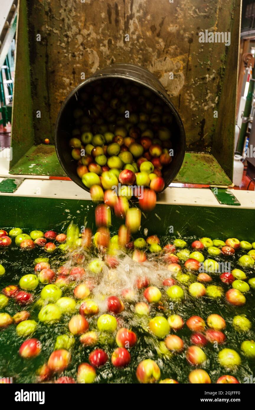 Cider production hi-res stock photography and images - Alamy