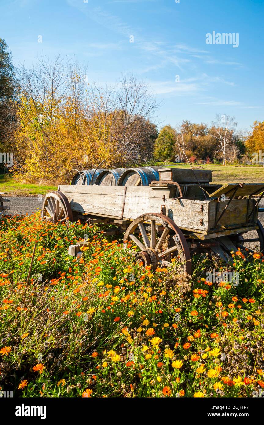 USA, Washington State, Walla Walla. Fall colors and flowers border an ...
