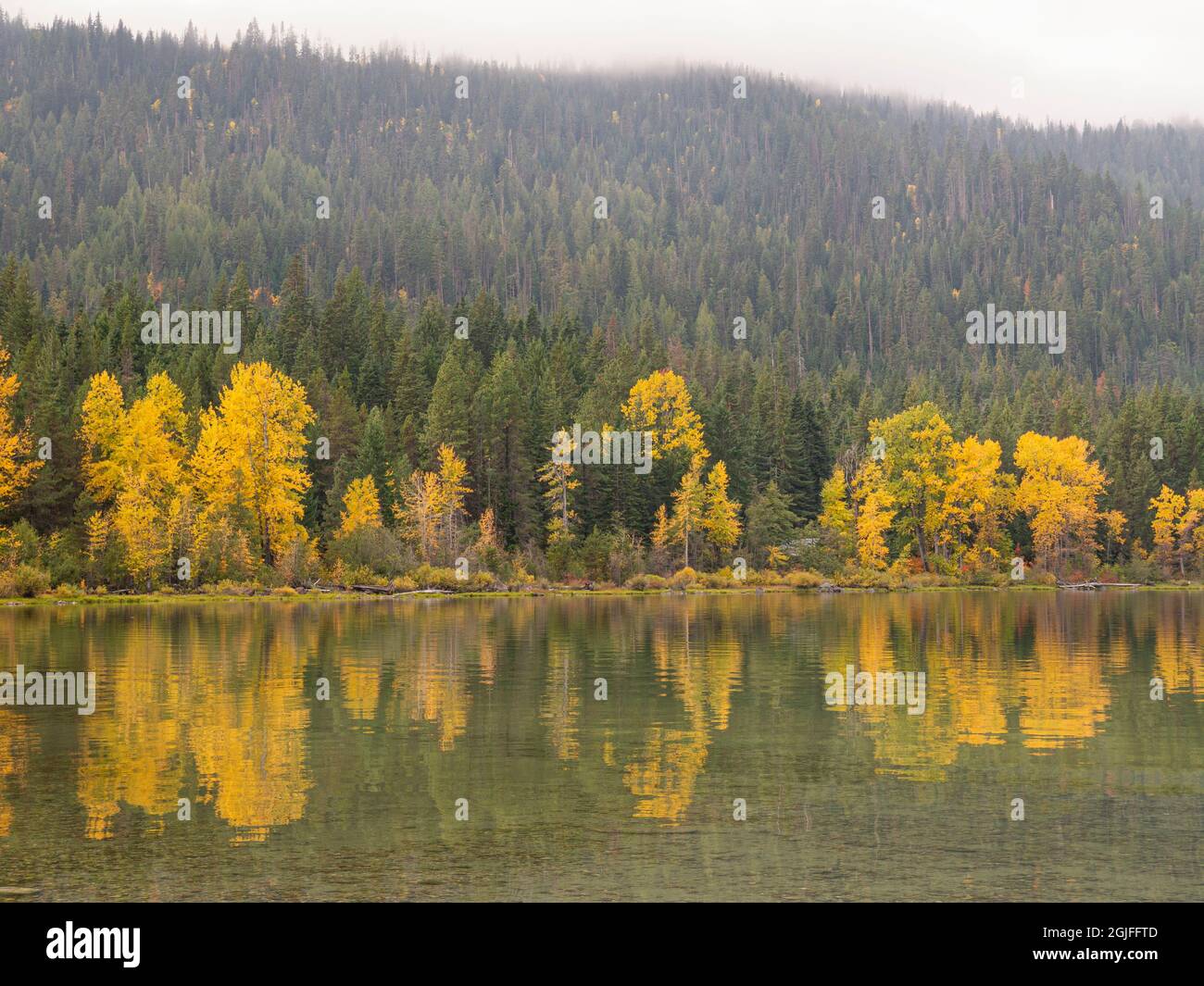 Lake Wenatchee, fog, Lake Wenatchee State Park, Washington, in Cascade ...