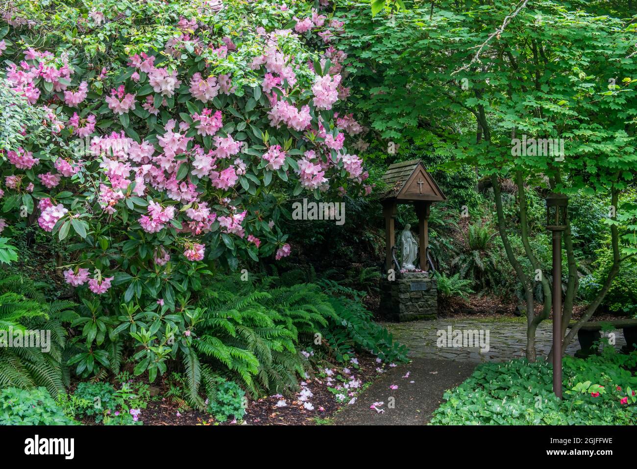 Seattle pacific university hi-res stock photography and images - Alamy