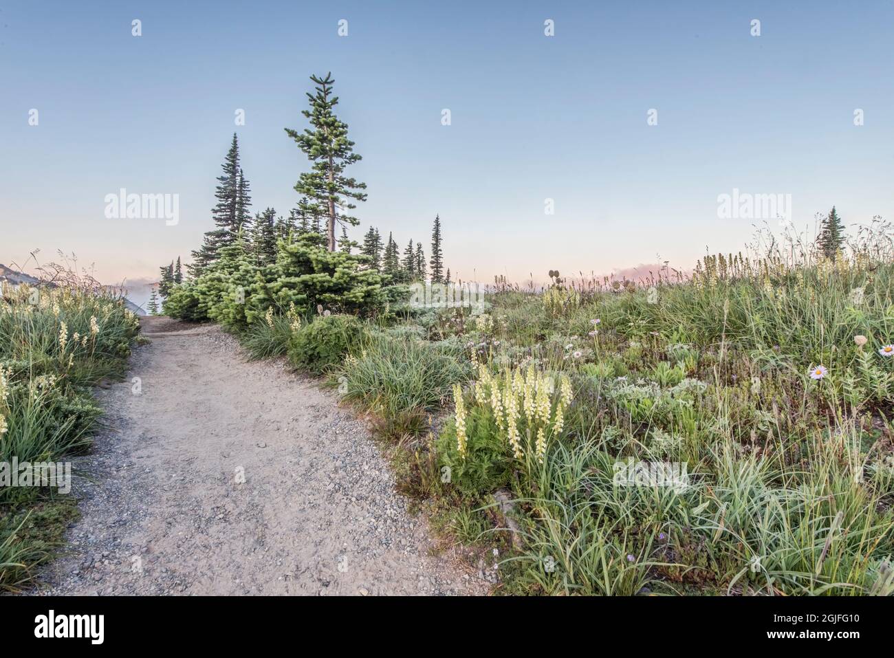 Mt rainier national park skyline trail hi-res stock photography and ...