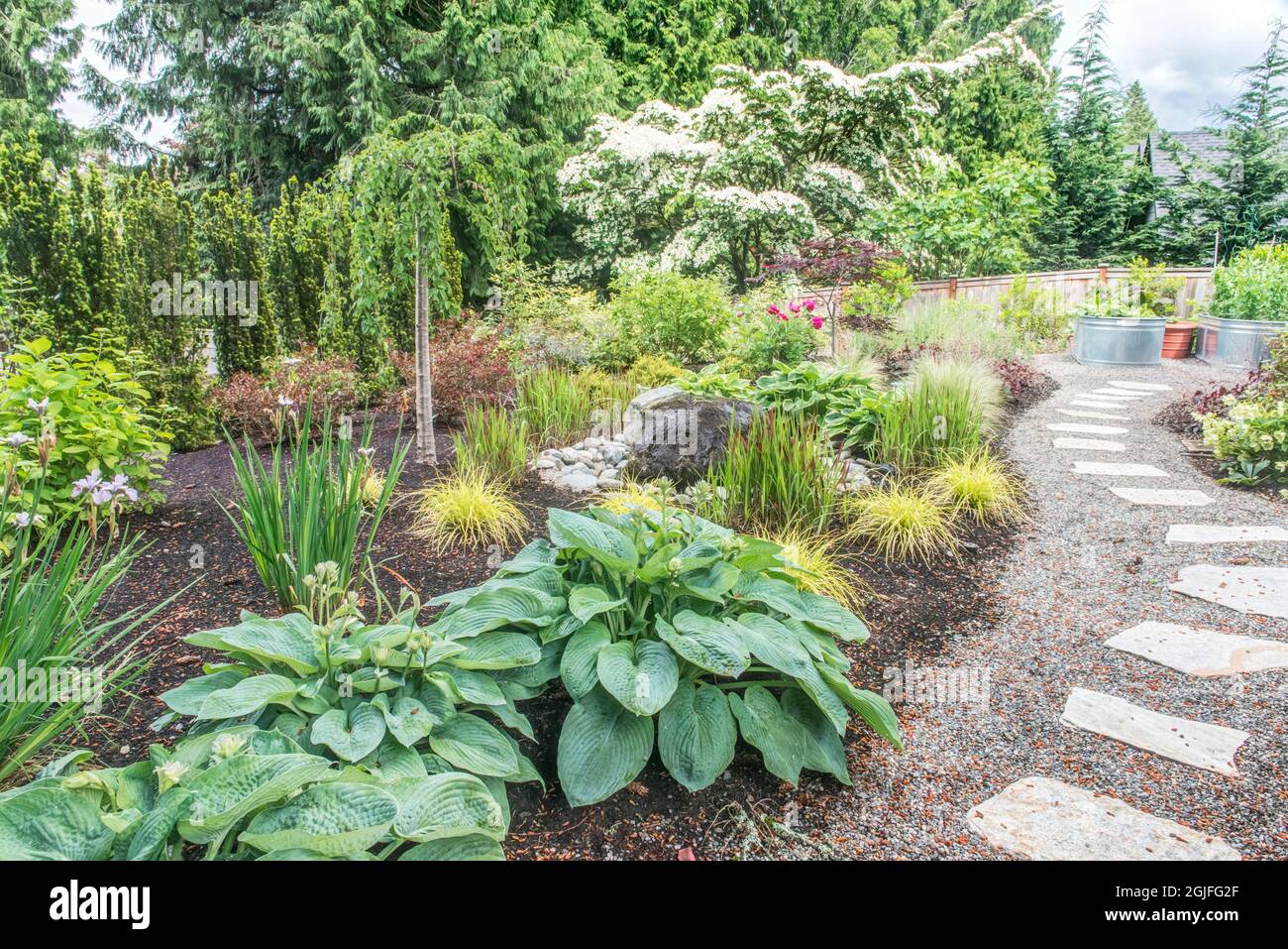 Washington State, Bellevue. Back garden. (PR Stock Photo - Alamy