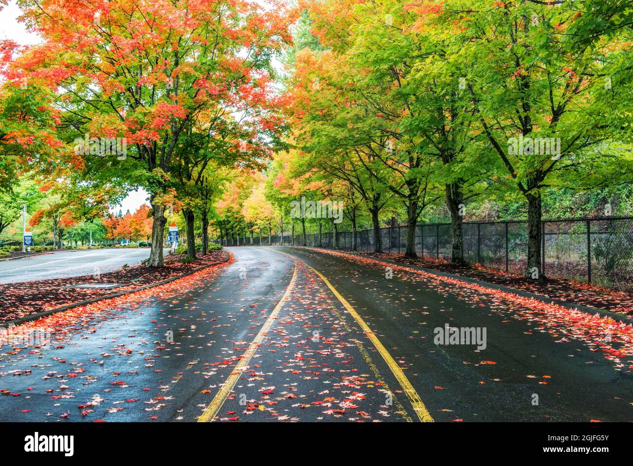 Washington State, Renton. Autumn Color at Gene Coulon Park Stock Photo ...