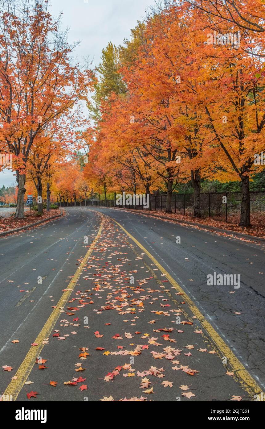 Gene coulon park hi-res stock photography and images - Alamy